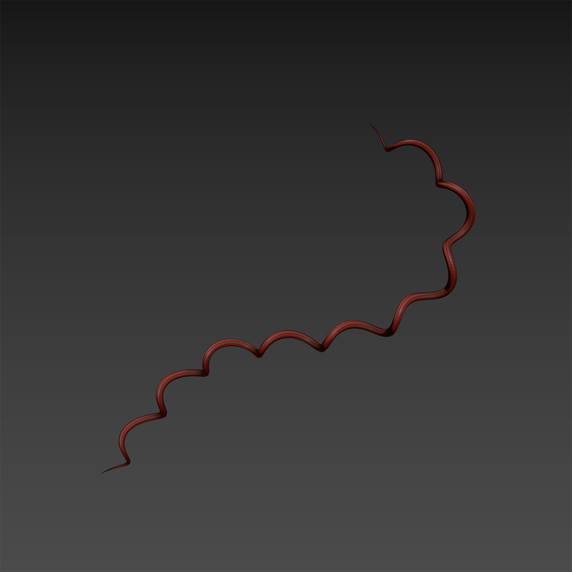 modelo 3d Sífilis - Treponema pallidum - TurboSquid 1626132