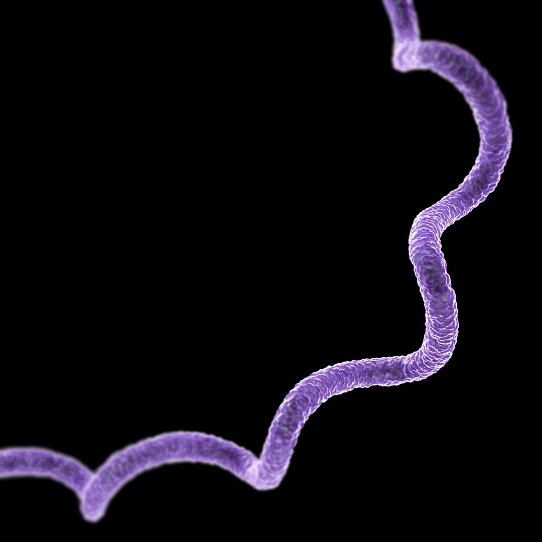 Microbes Bacteria Cells 3D Model - TurboSquid 1626132