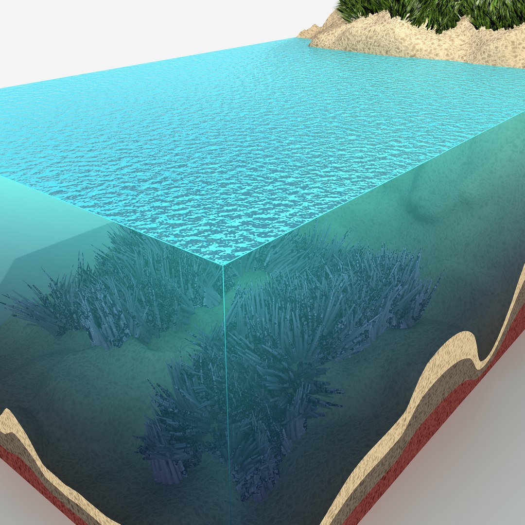 Ocean 2 3d Model