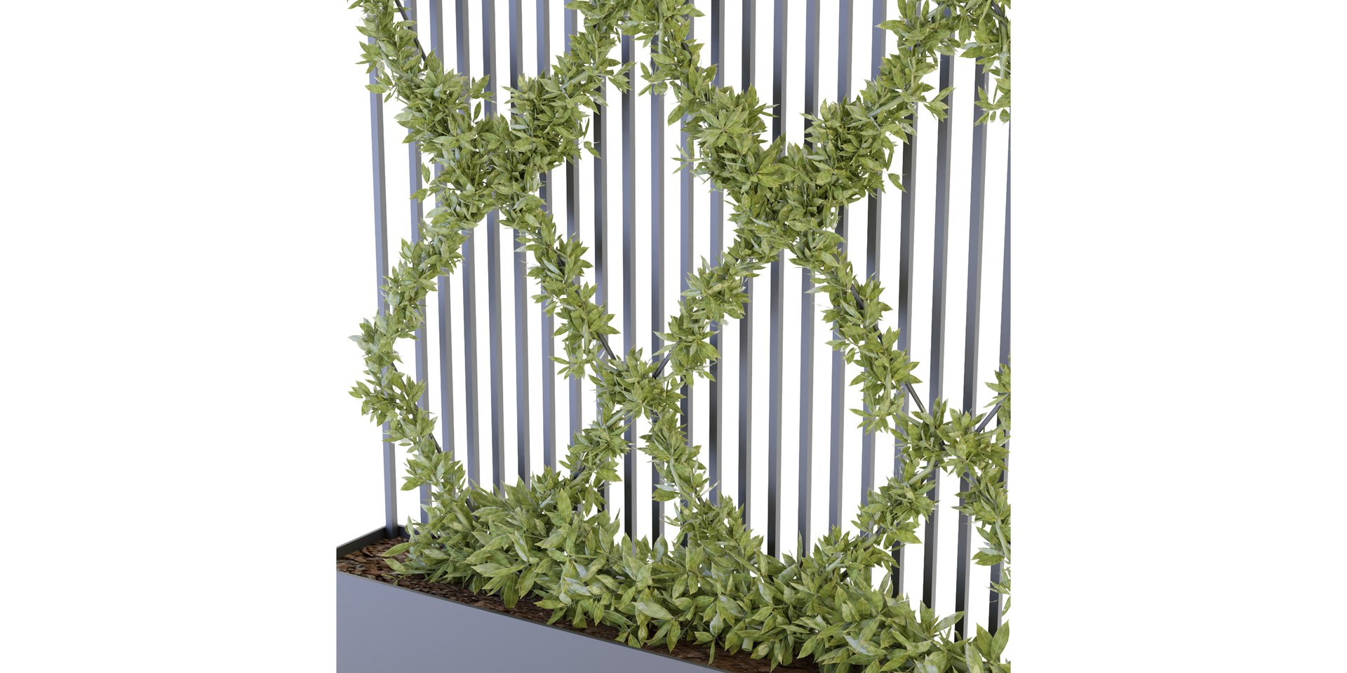 Collection Plant Vol 158 - Blender Model 3D Model - TurboSquid 2086026