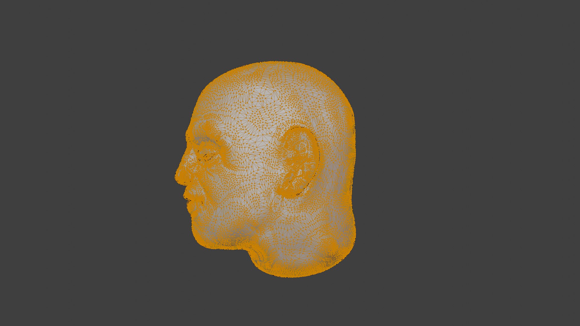 3D Static Joe Rogan Head - TurboSquid 1829545