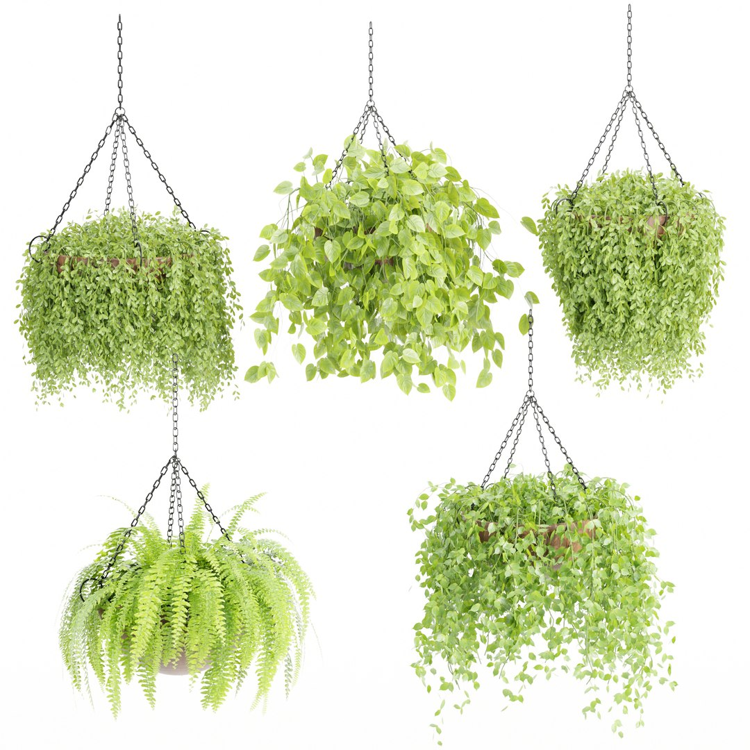 Hanging Plants Collection Vol 142-Blender 3D Model - TurboSquid 2148761