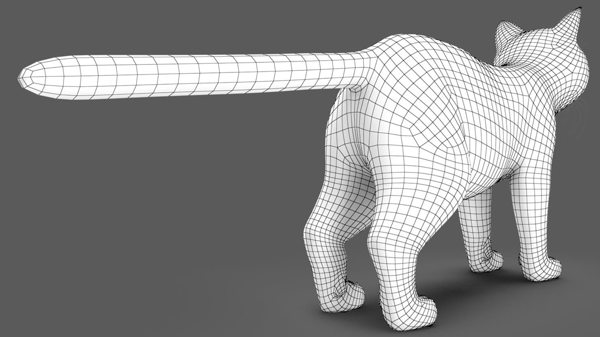 Cat fur model - TurboSquid 1454490