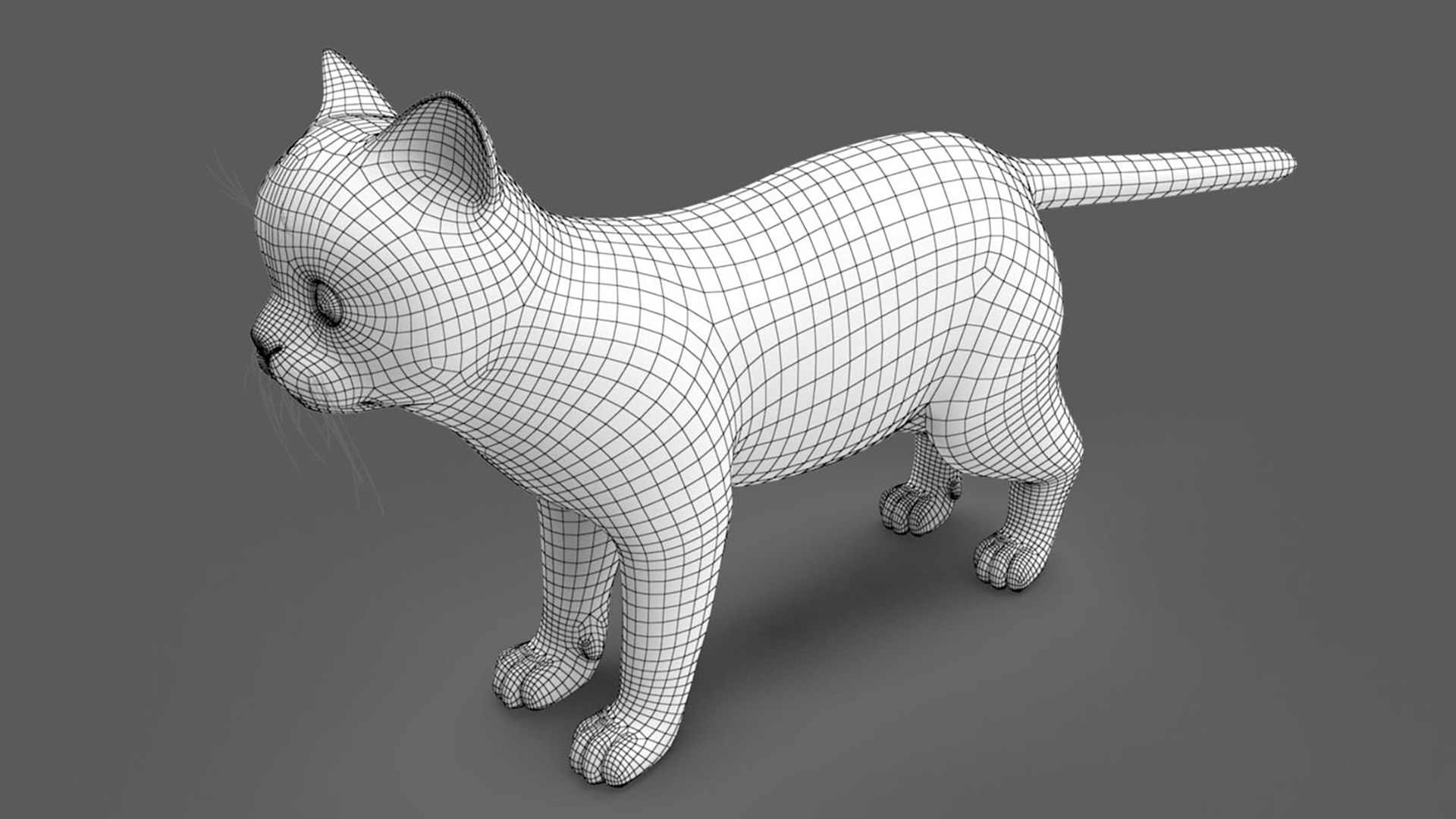 Cat fur model - TurboSquid 1454490