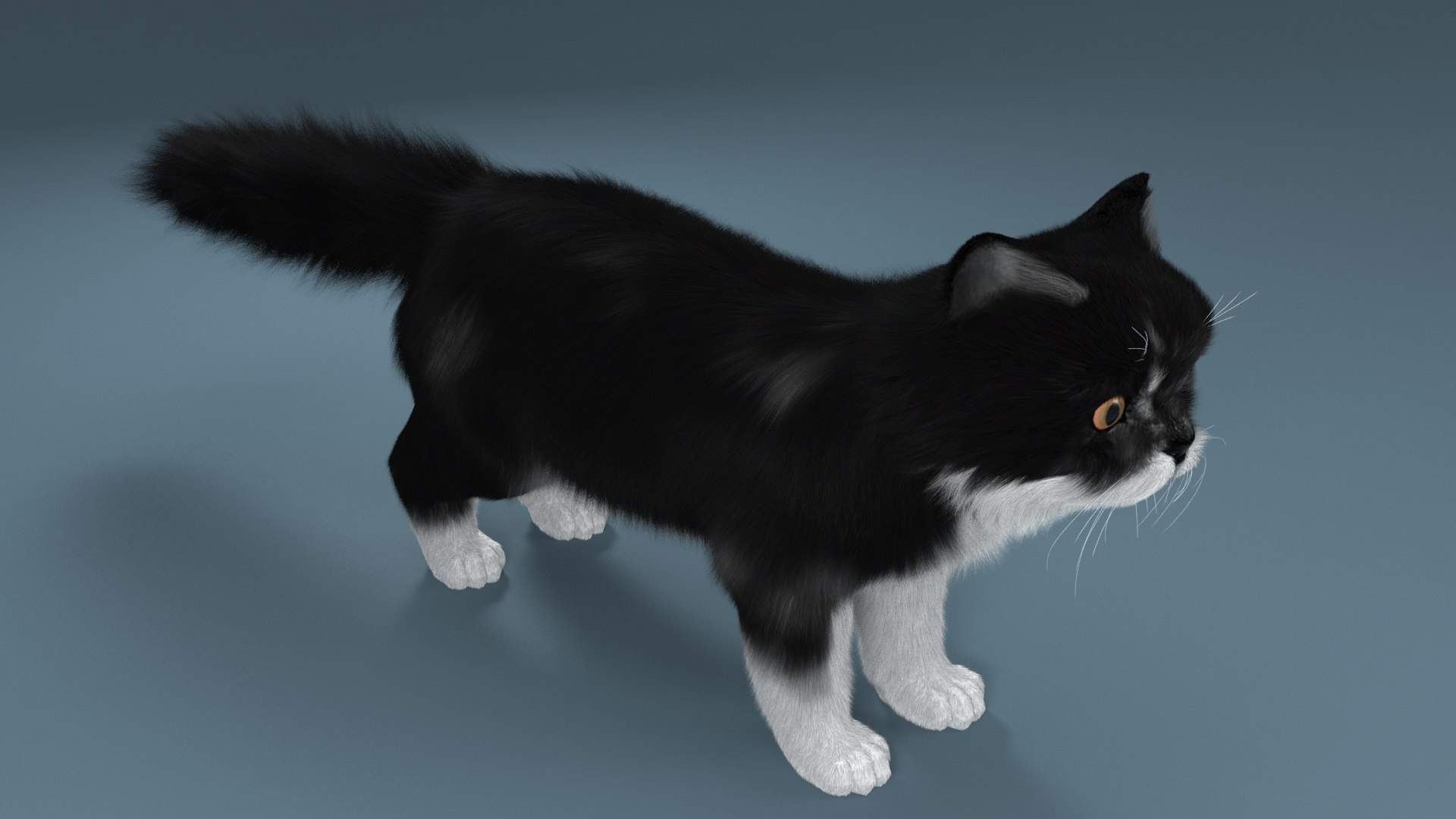 Cat fur model - TurboSquid 1454490