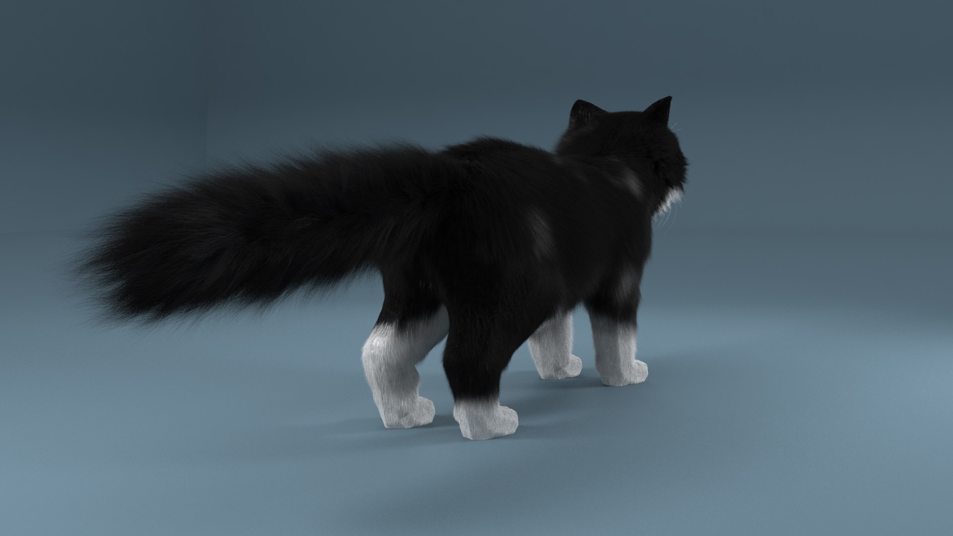Cat fur model - TurboSquid 1454490