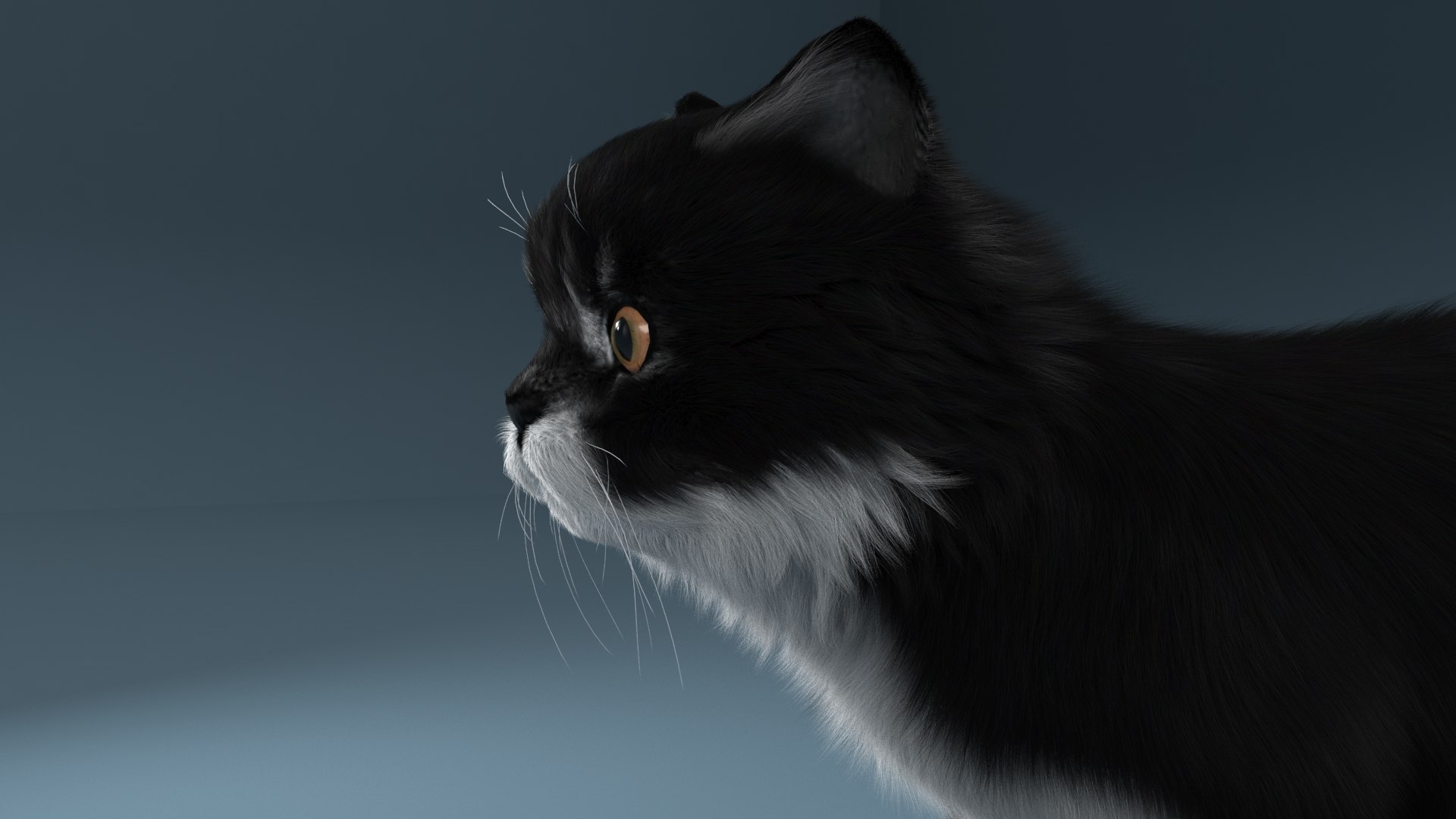 Cat fur model - TurboSquid 1454490