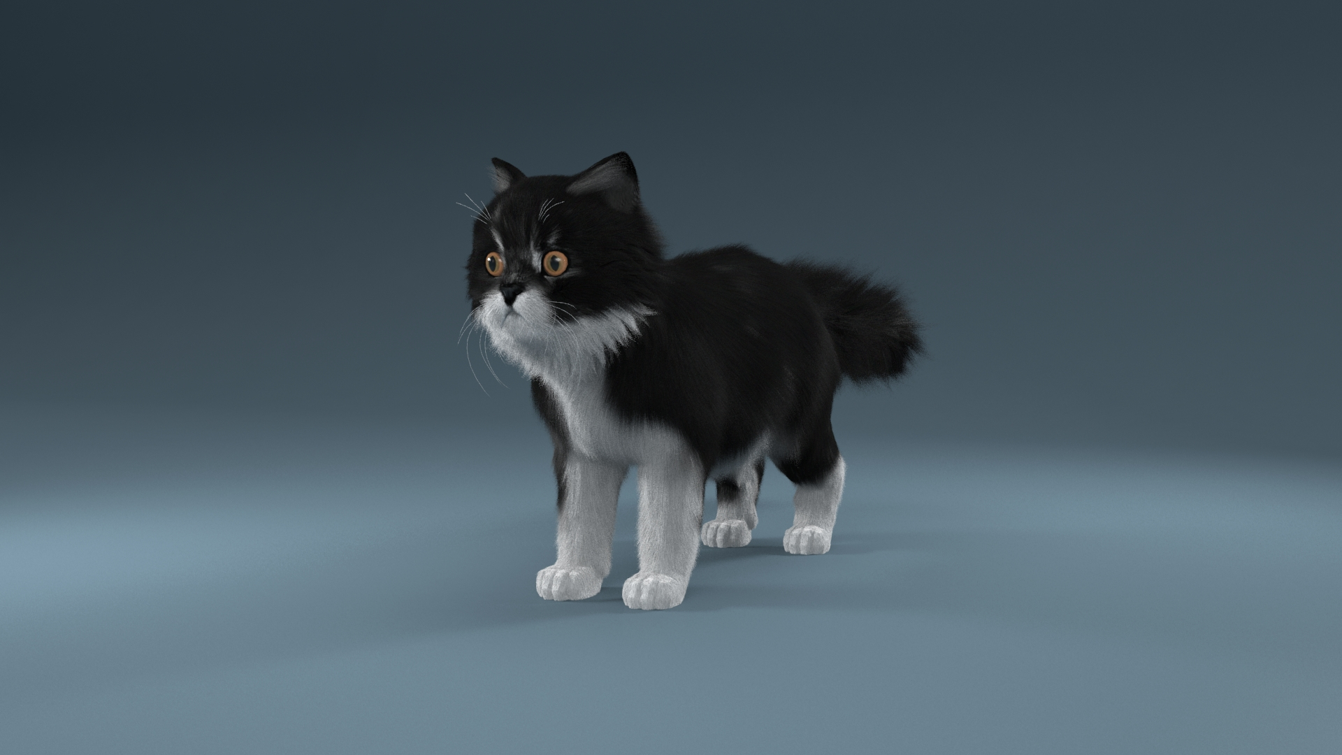Cat fur model - TurboSquid 1454490