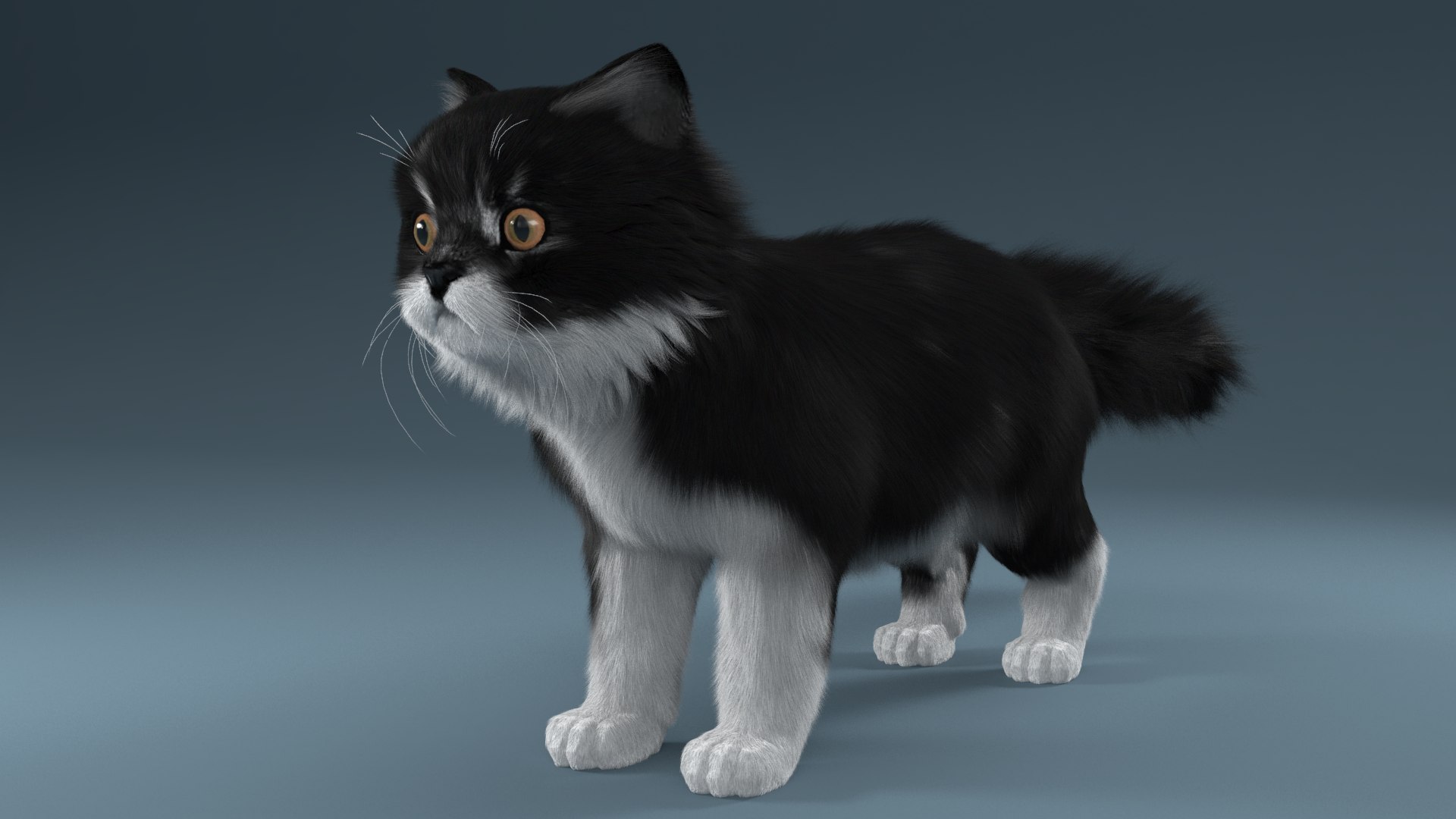 Cat fur model - TurboSquid 1454490