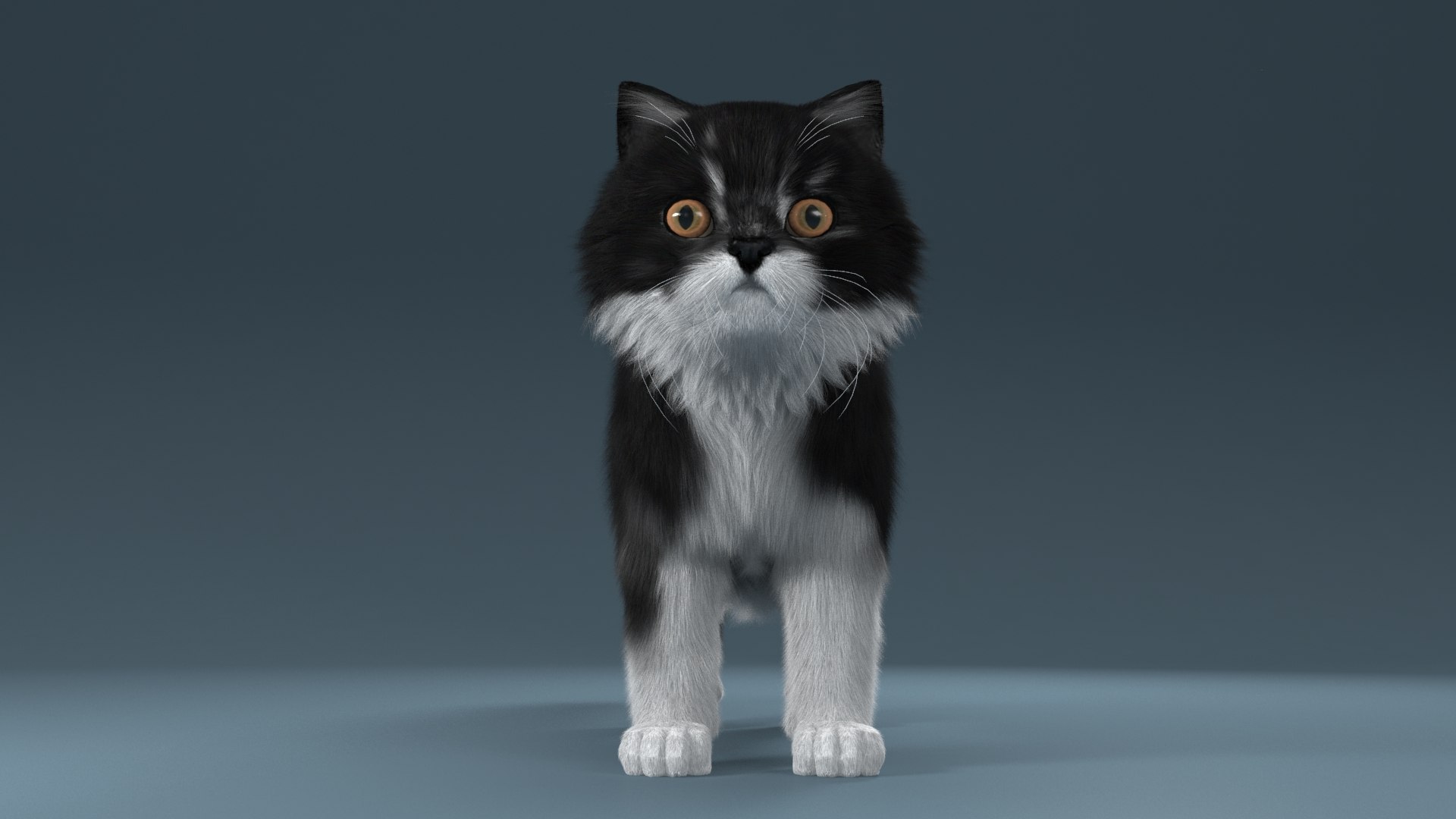 Cat fur model - TurboSquid 1454490
