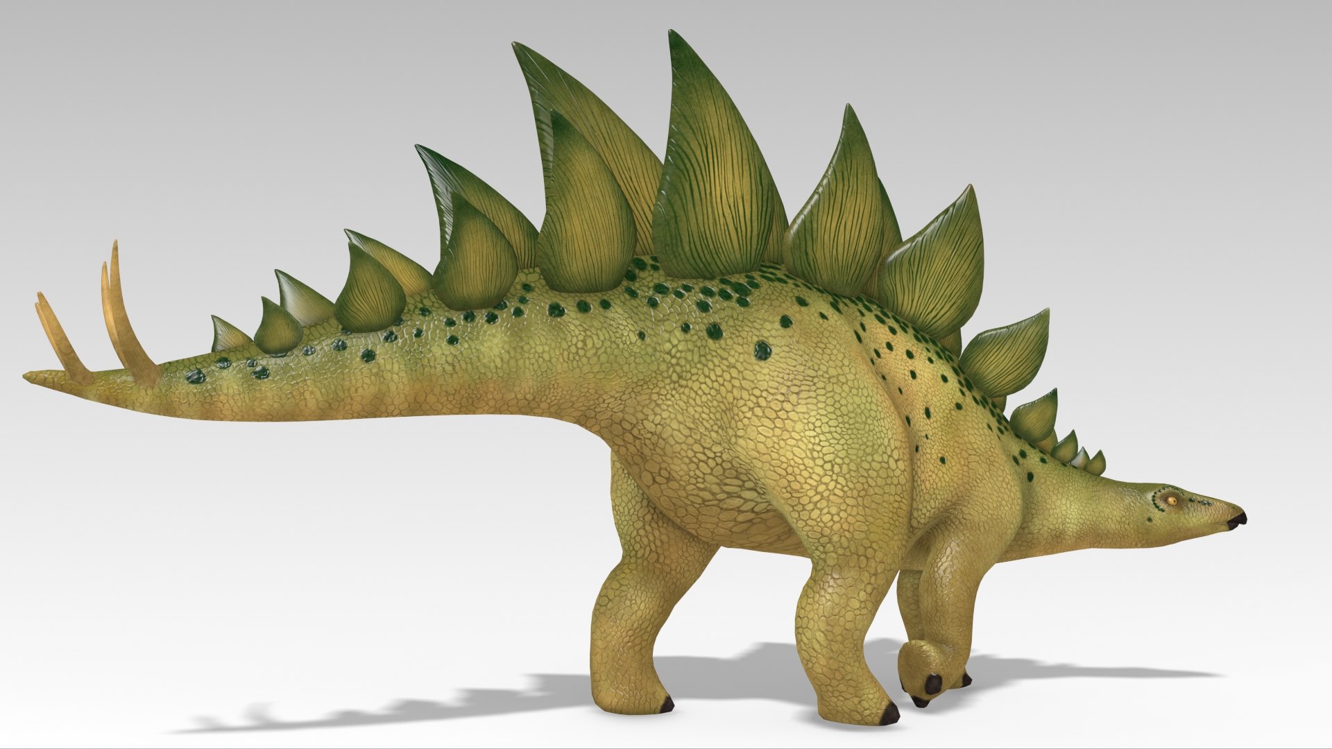 3D Stegosaurus Model - TurboSquid 2166570