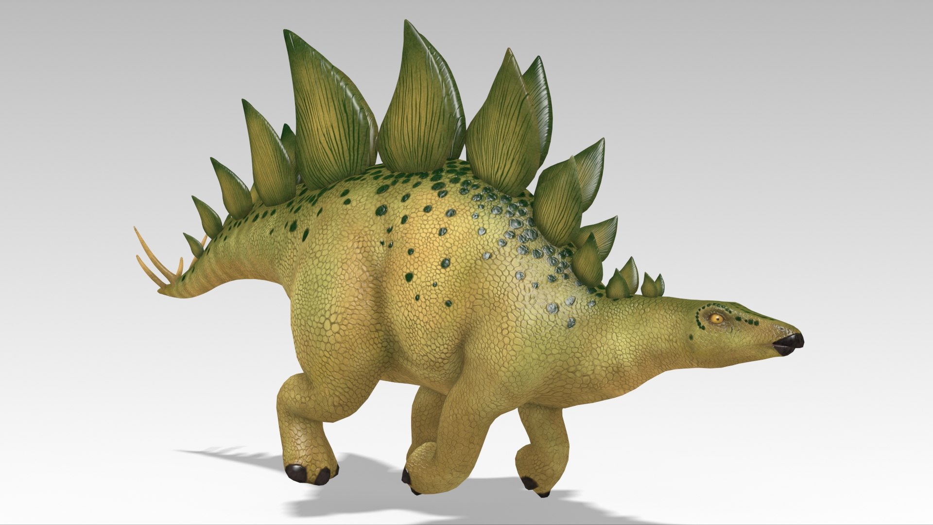 3D Stegosaurus Model - TurboSquid 2166570
