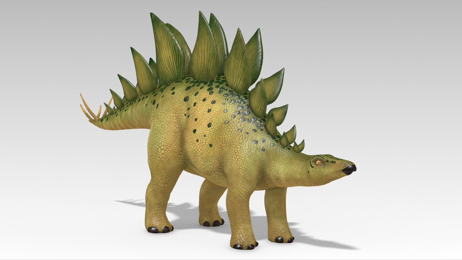 3D Stegosaurus Model - TurboSquid 2166570