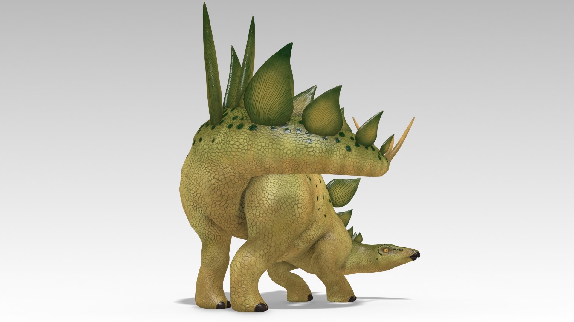 3D Stegosaurus Model - TurboSquid 2166570