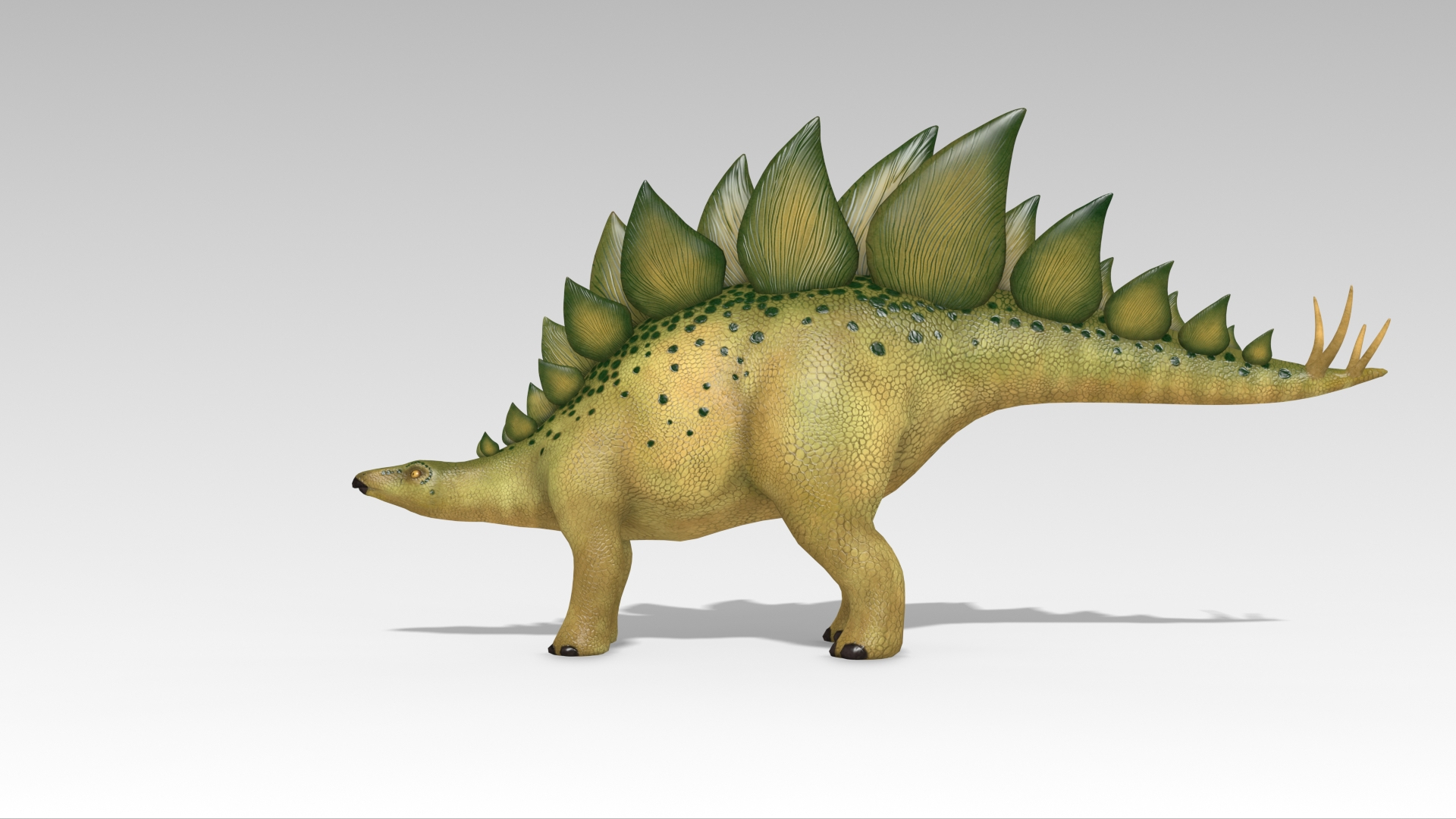 3D Stegosaurus Model - TurboSquid 2166570