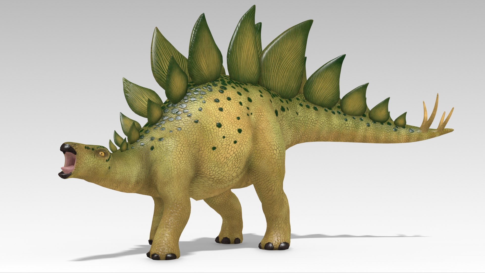 3D Stegosaurus Model - TurboSquid 2166570