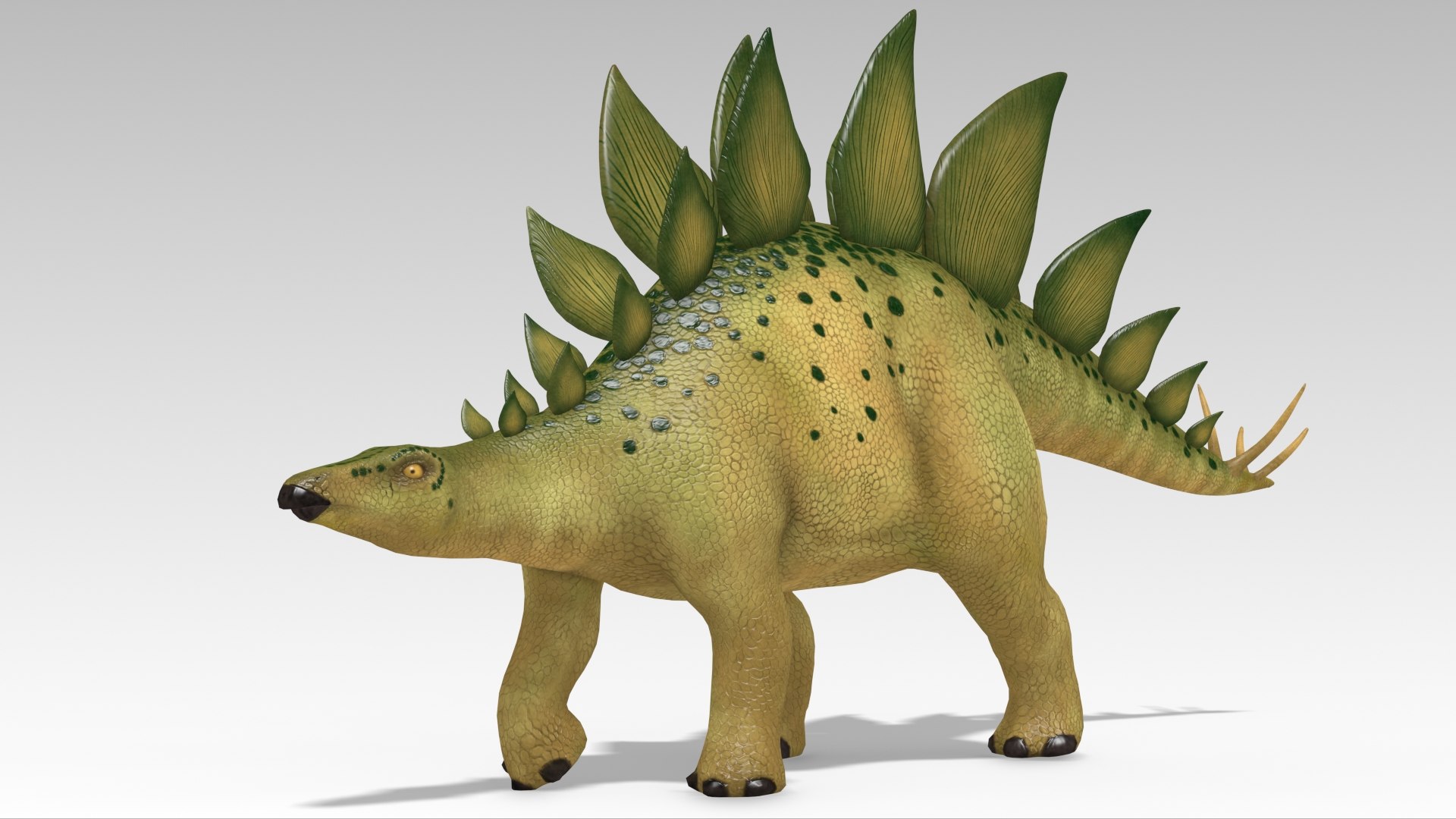 3D Stegosaurus Model - TurboSquid 2166570