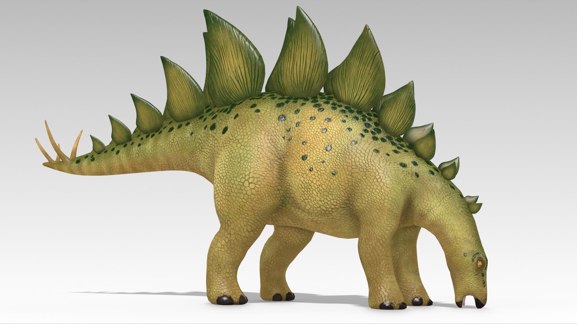 3D Stegosaurus Model - TurboSquid 2166570