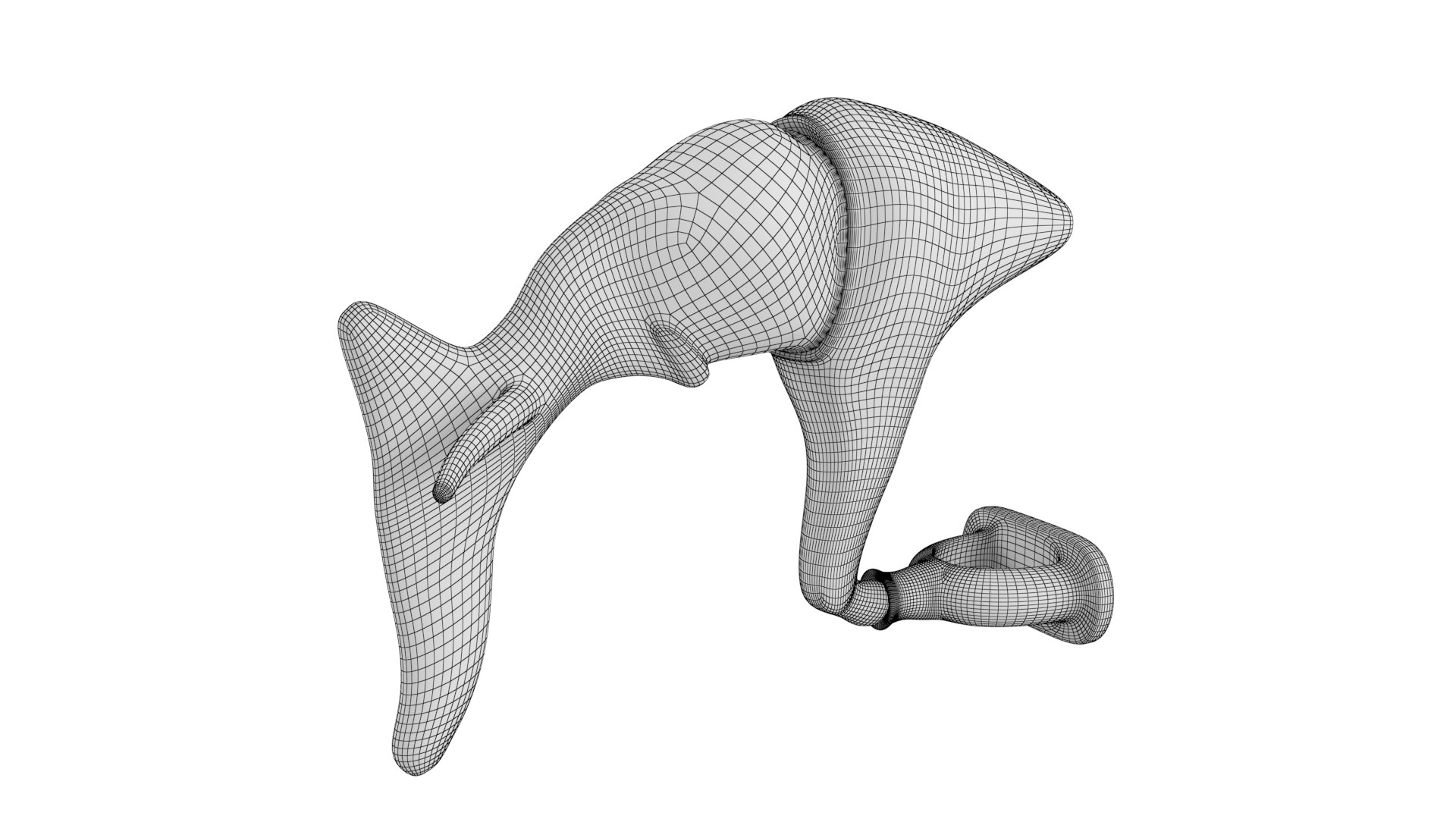 Middle Ear Auditory Ossicles 3D Model - TurboSquid 2022543