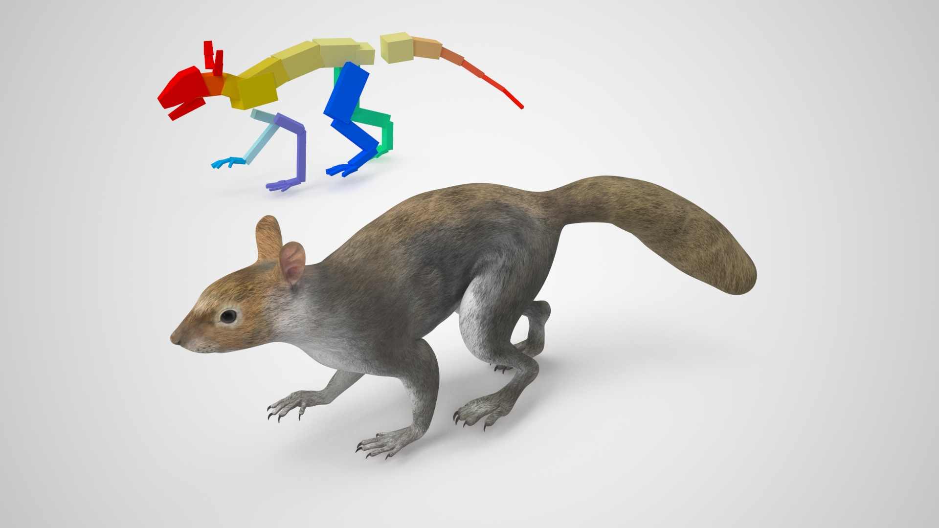Gray Squirrel Rigged Model - TurboSquid 2264270