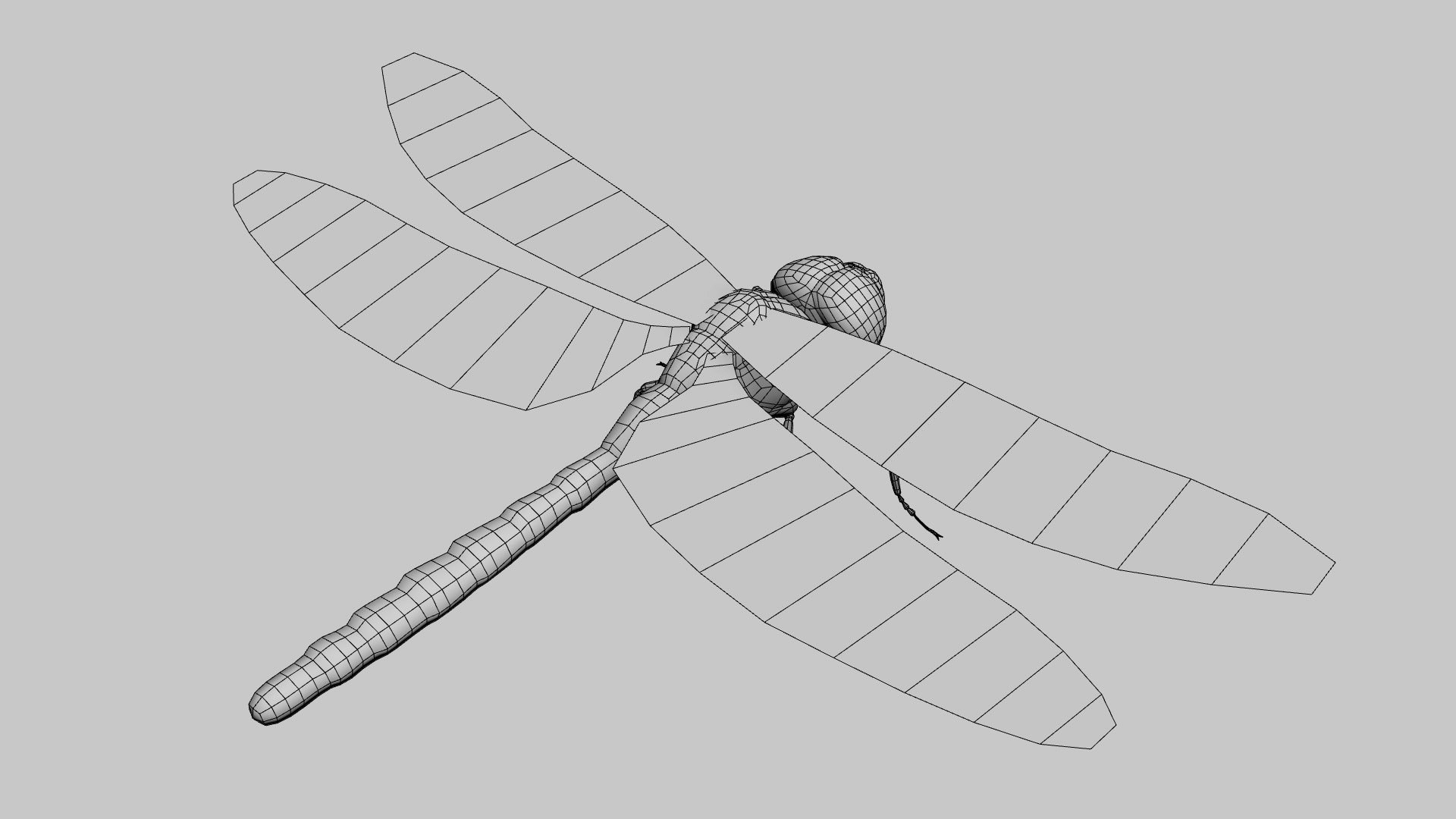 Dragonfly 3D Model - TurboSquid 1965915