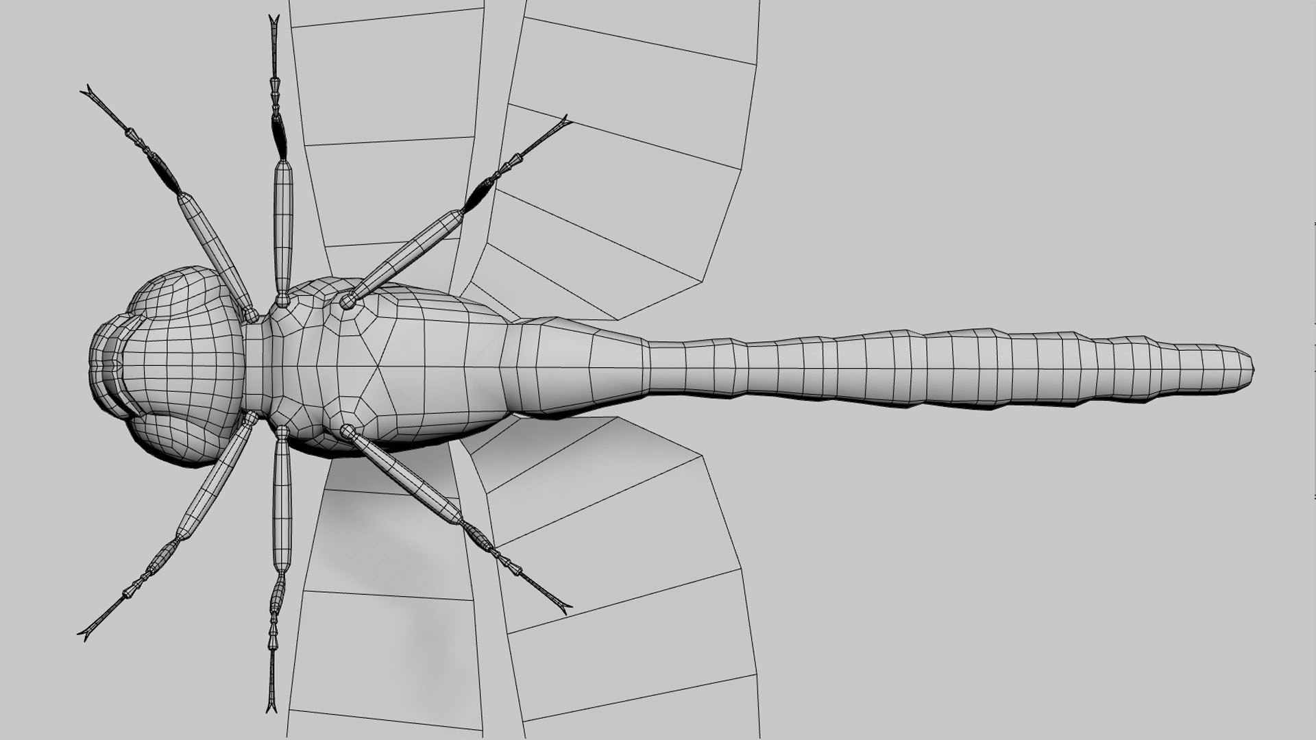 Dragonfly 3D Model - TurboSquid 1965915