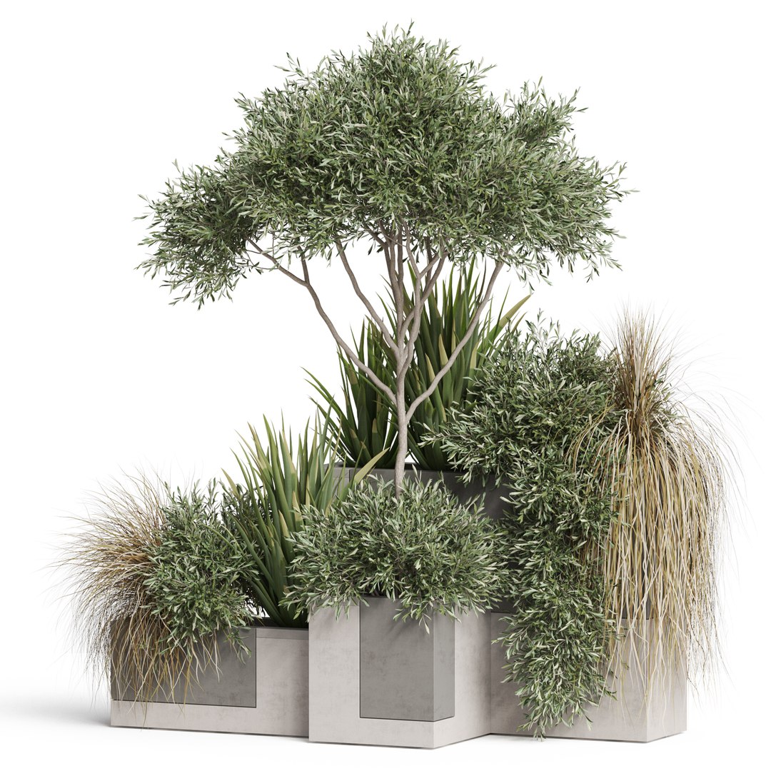 3D Model Plants Collection 771 - TurboSquid 1944061