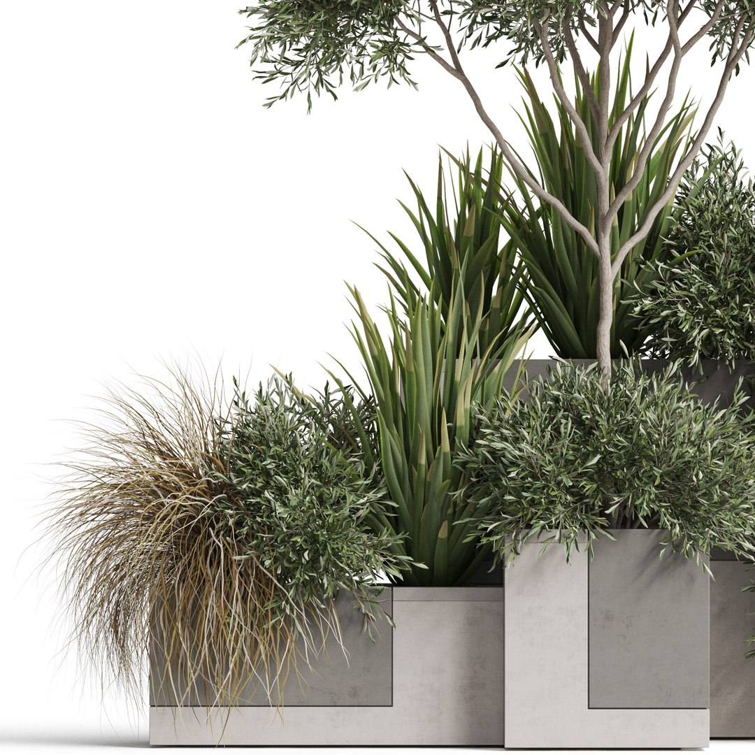 3D Model Plants Collection 771 - TurboSquid 1944061