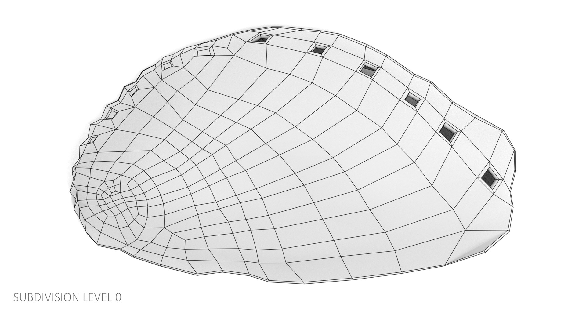 3D Seashell 6 Model - TurboSquid 1254654