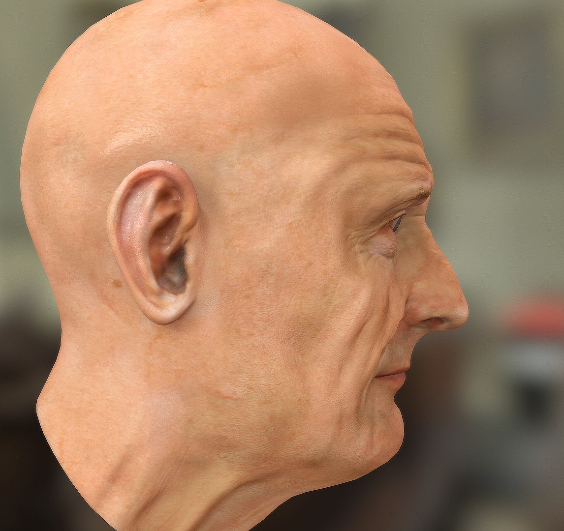 3d Model Real-time Polygons