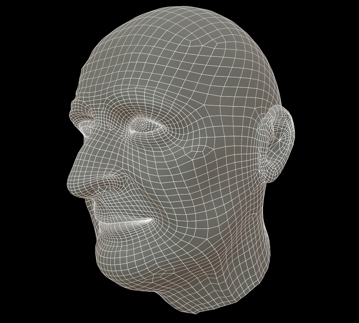 3d Model Real-time Polygons