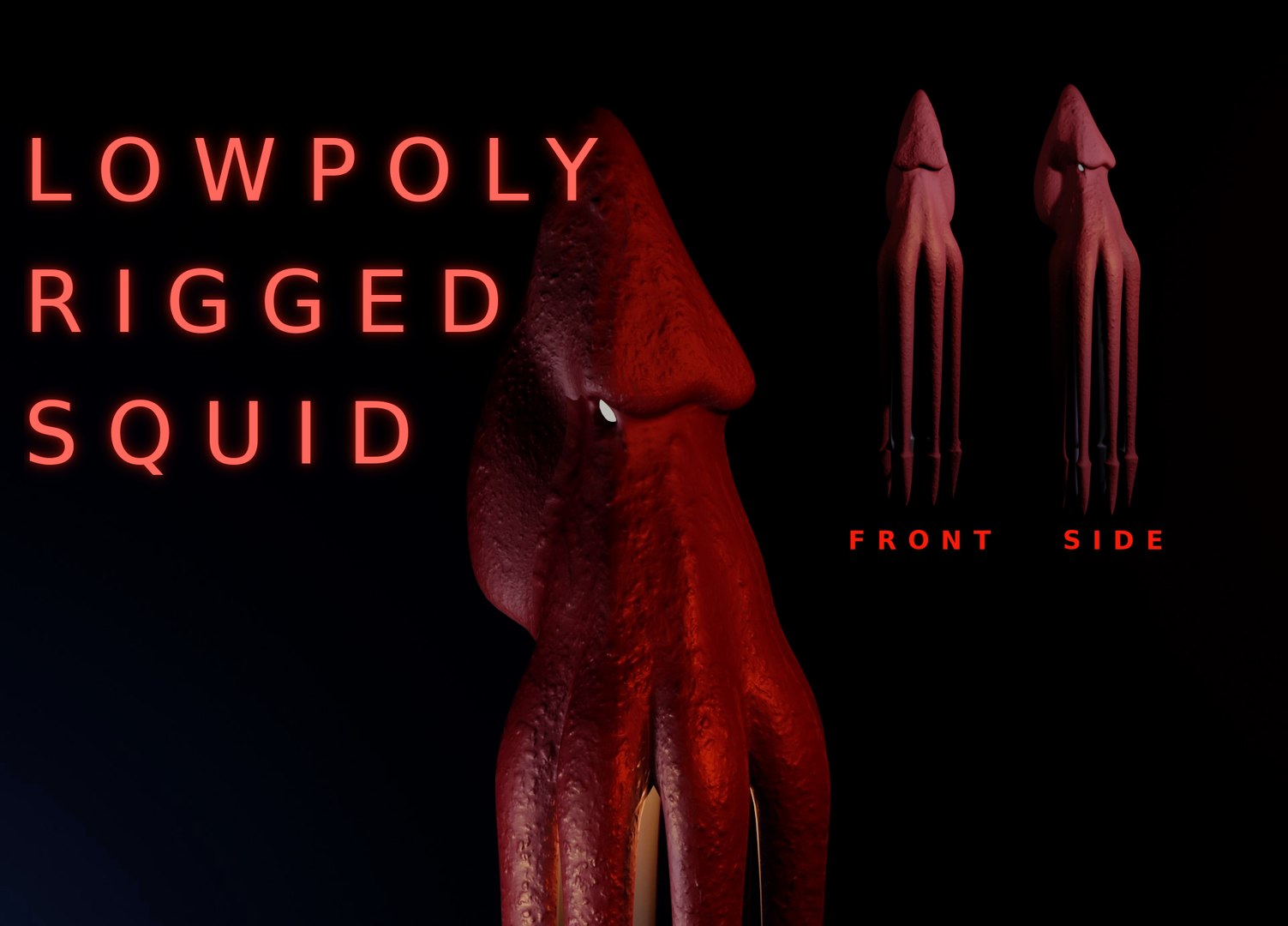 3D squid rigged animation - TurboSquid 1541612