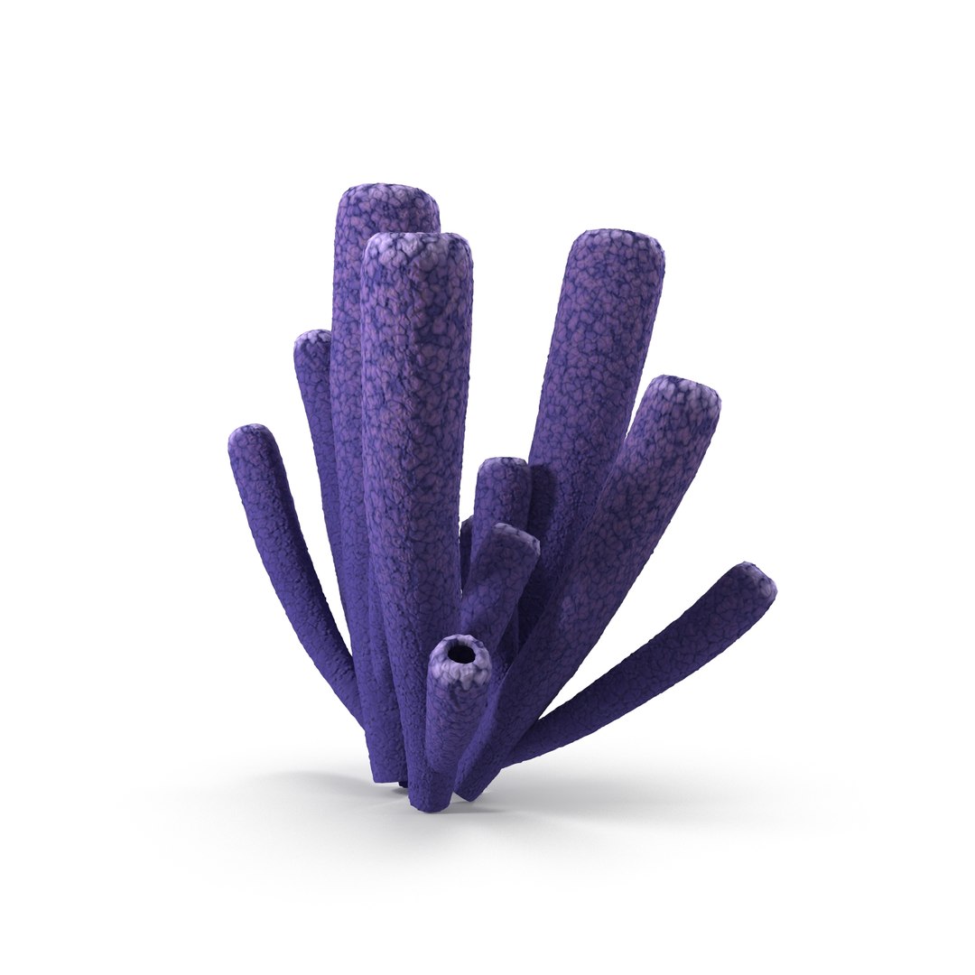 Blue Tube Sponges 3D Model - TurboSquid 2231629