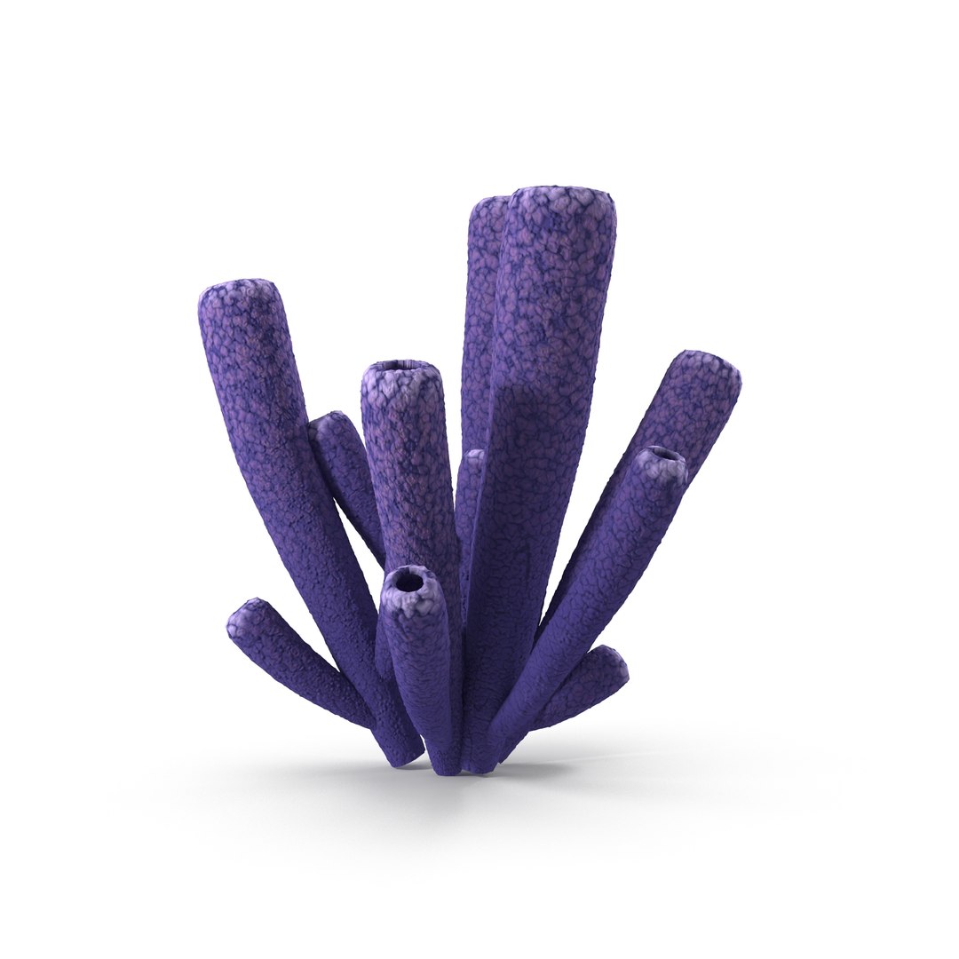 Blue Tube Sponges 3D Model - TurboSquid 2231629