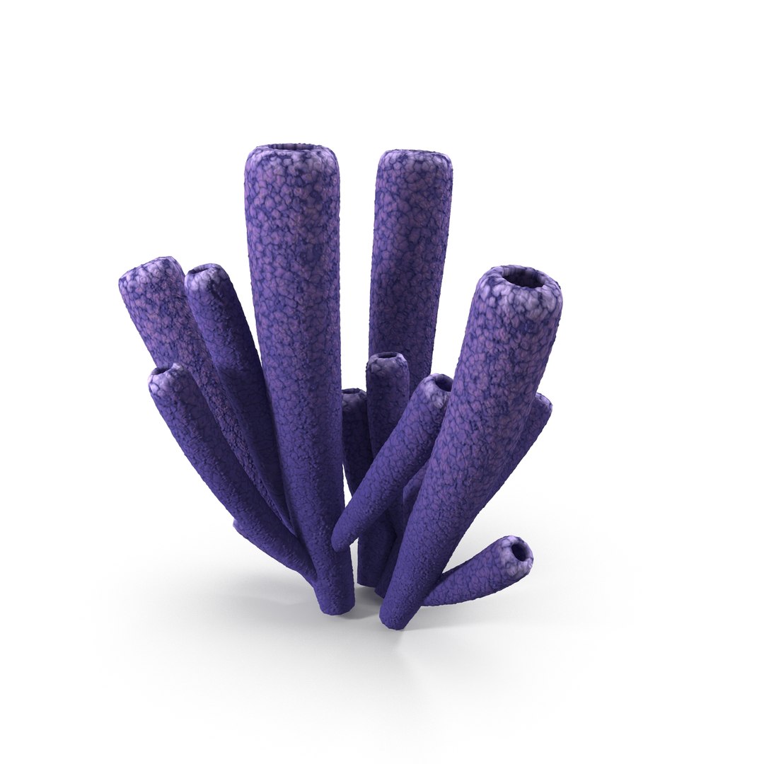 Blue Tube Sponges 3D Model - TurboSquid 2231629