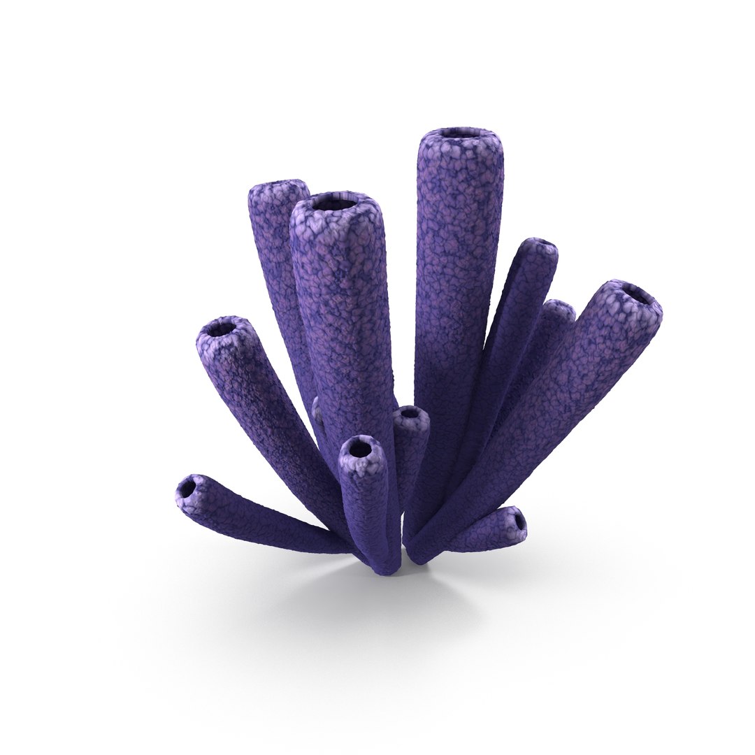 Blue Tube Sponges 3D Model - TurboSquid 2231629