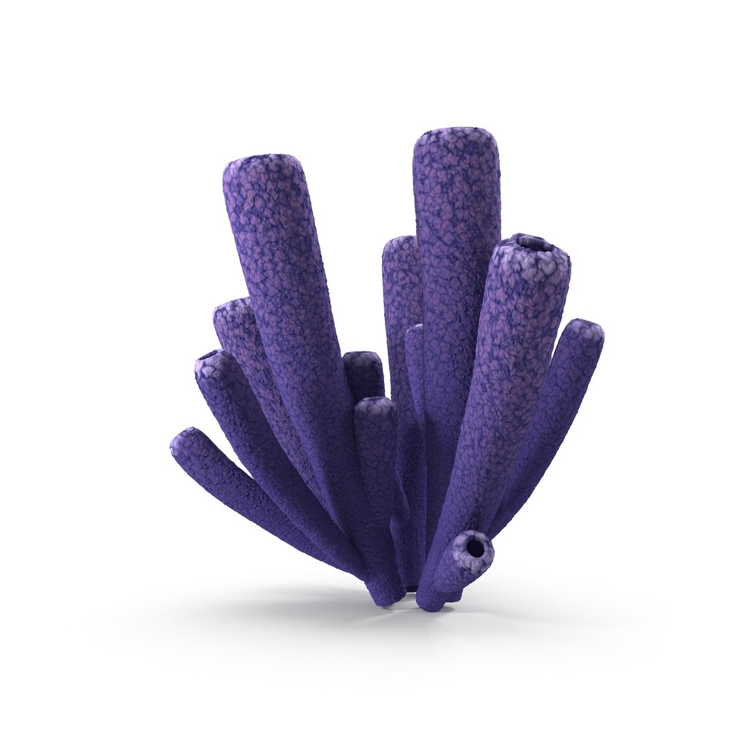 Blue Tube Sponges 3D Model - TurboSquid 2231629