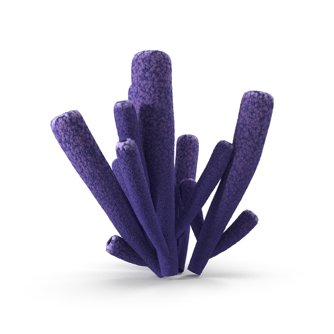 Blue Tube Sponges 3D Model - TurboSquid 2231629