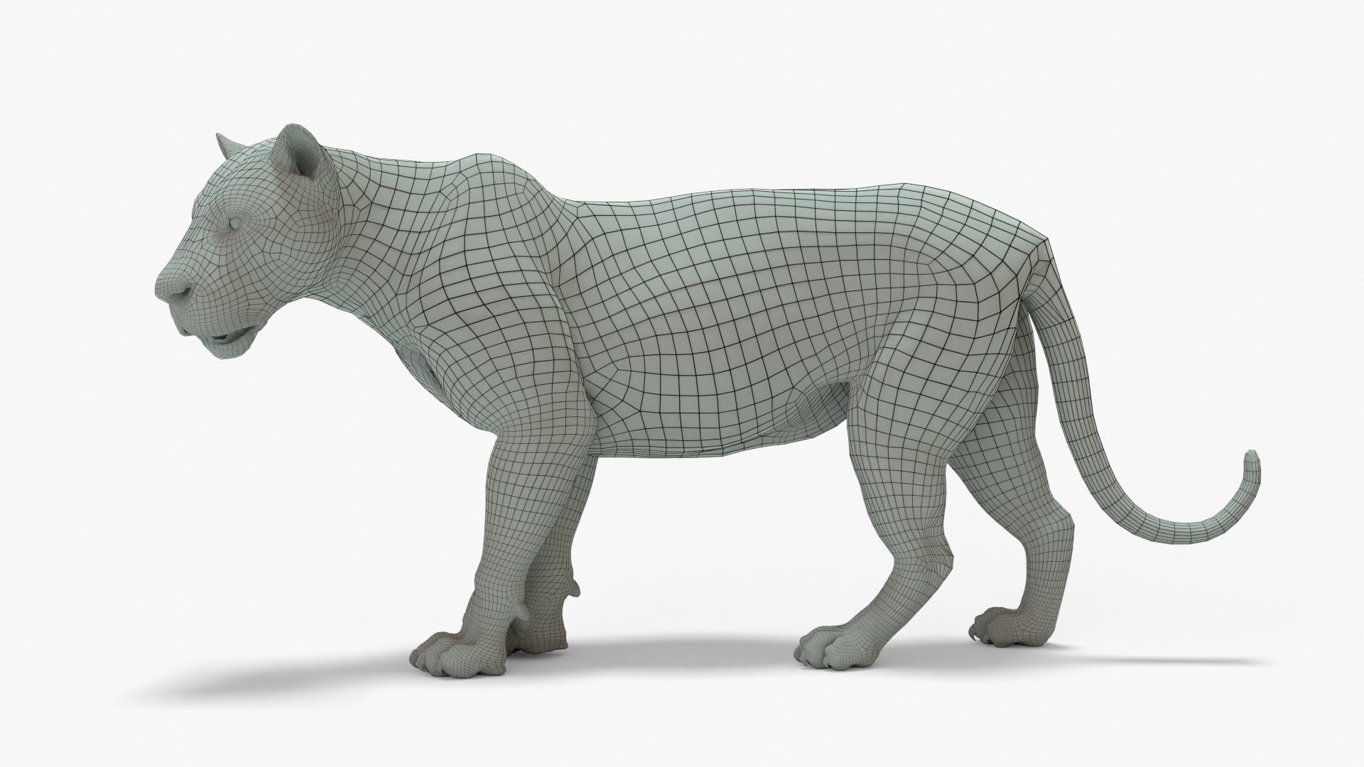Lion Rigged Basemesh 3D model - TurboSquid 2076571