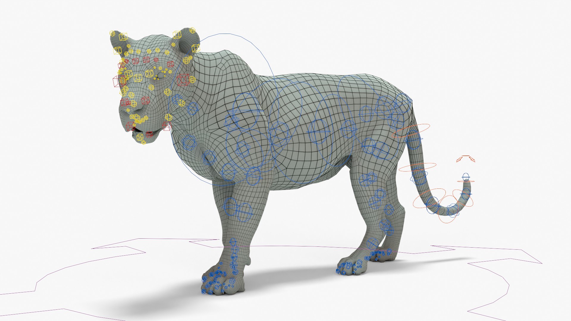 Lion Rigged Basemesh 3D model - TurboSquid 2076571