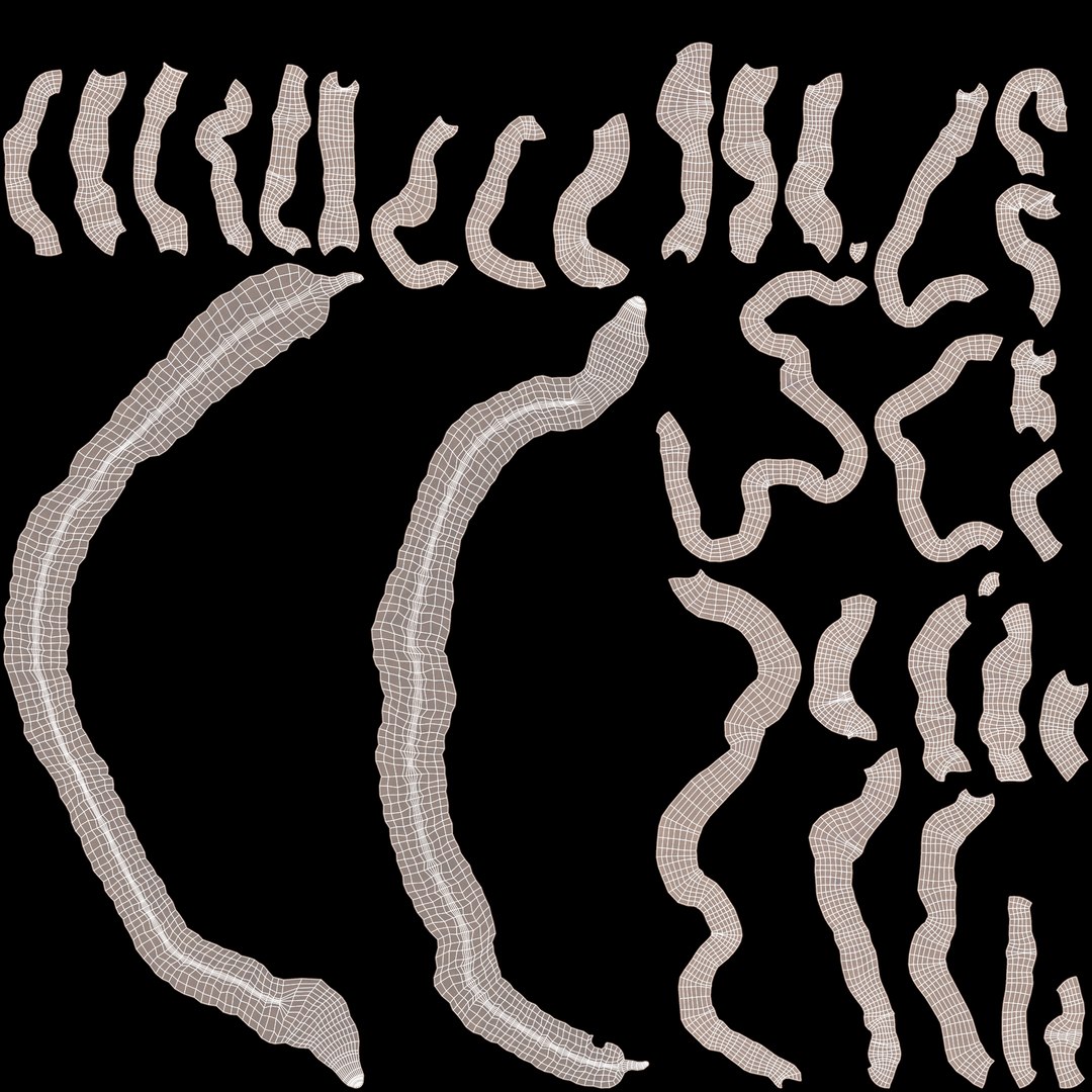 3D Intestines - TurboSquid 1755799