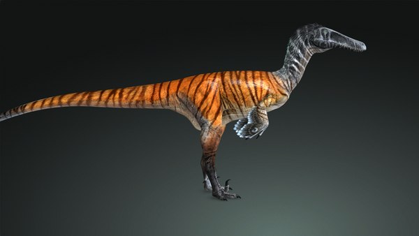 modelo 3d VELOCIRAPTOR JURASSIC AUSTRORAPTOR - TurboSquid 2089716