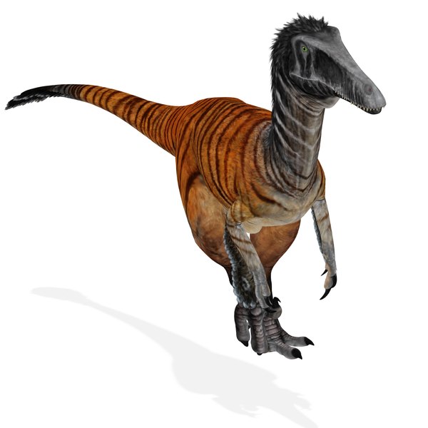 modelo 3d VELOCIRAPTOR JURASSIC AUSTRORAPTOR - TurboSquid 2089716
