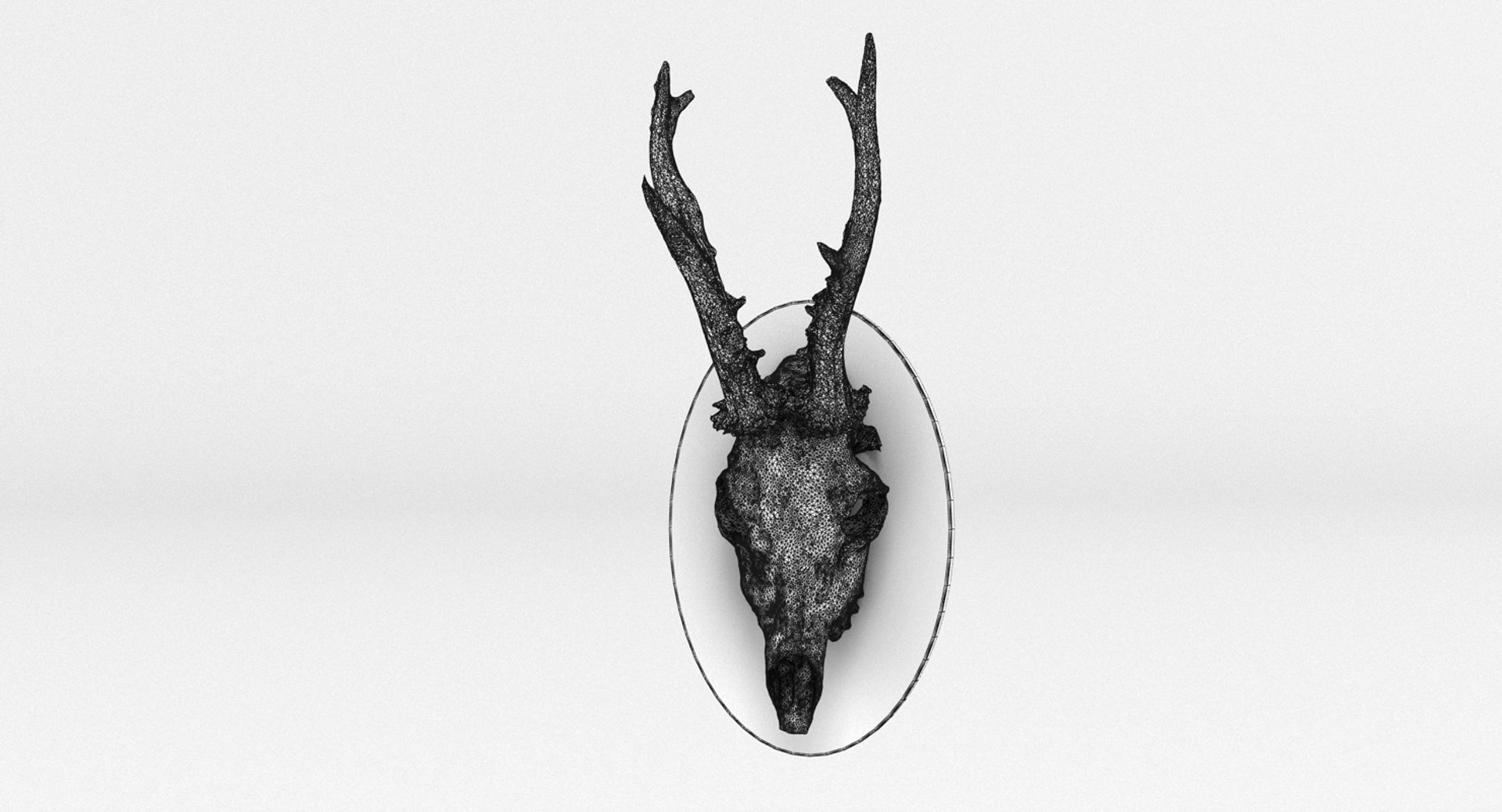 3D Scan Deer Skull Model - TurboSquid 1167160