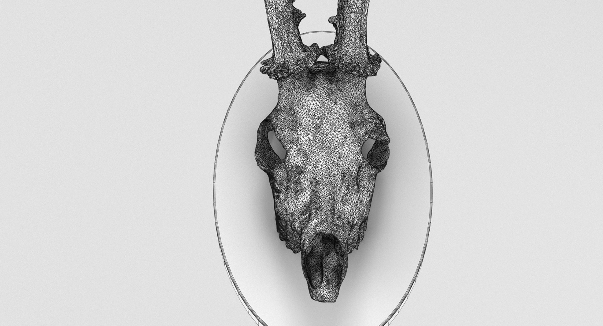 3D Scan Deer Skull Model - TurboSquid 1167160