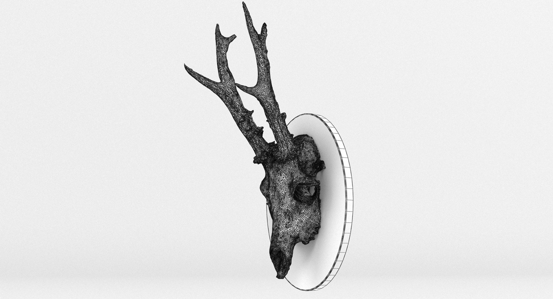 3D Scan Deer Skull Model - TurboSquid 1167160