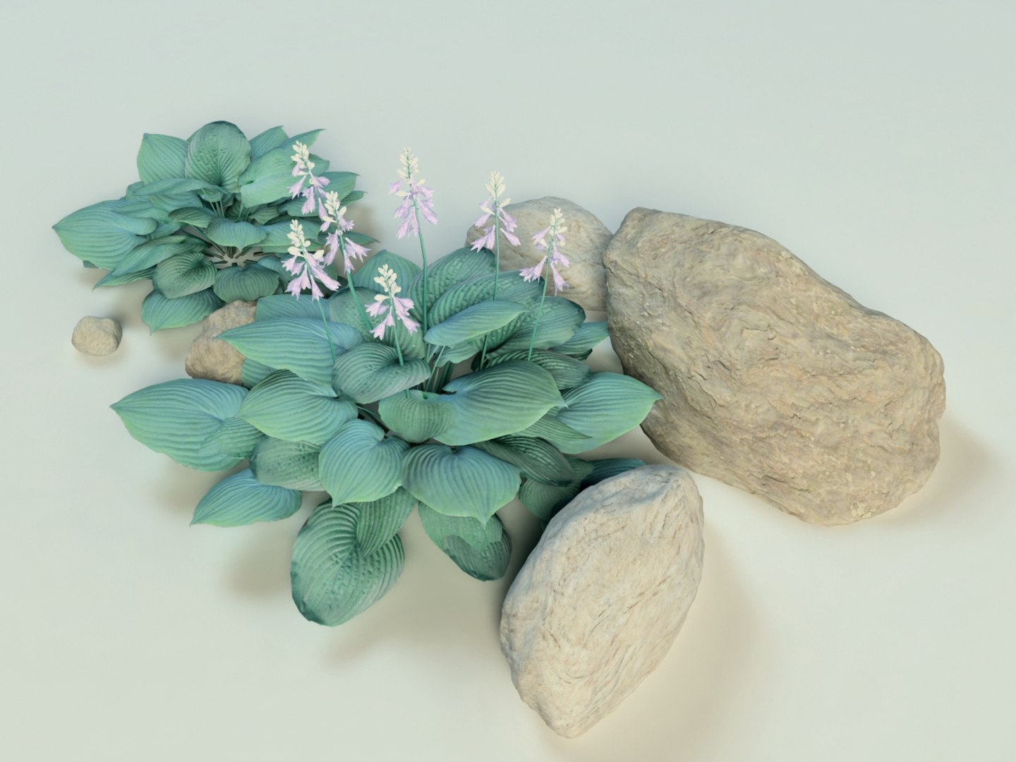 Flowering Hosta Sieboldii 3D Model - TurboSquid 1374355