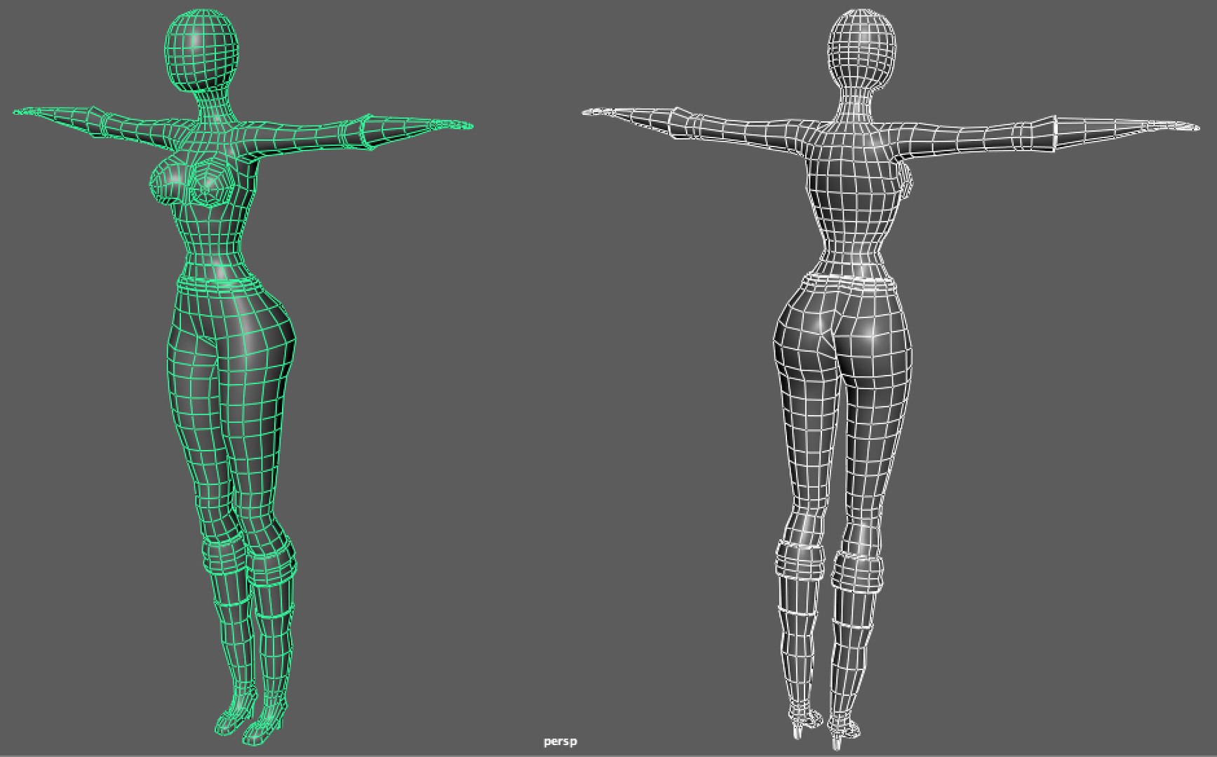 3d Obj Base Mesh