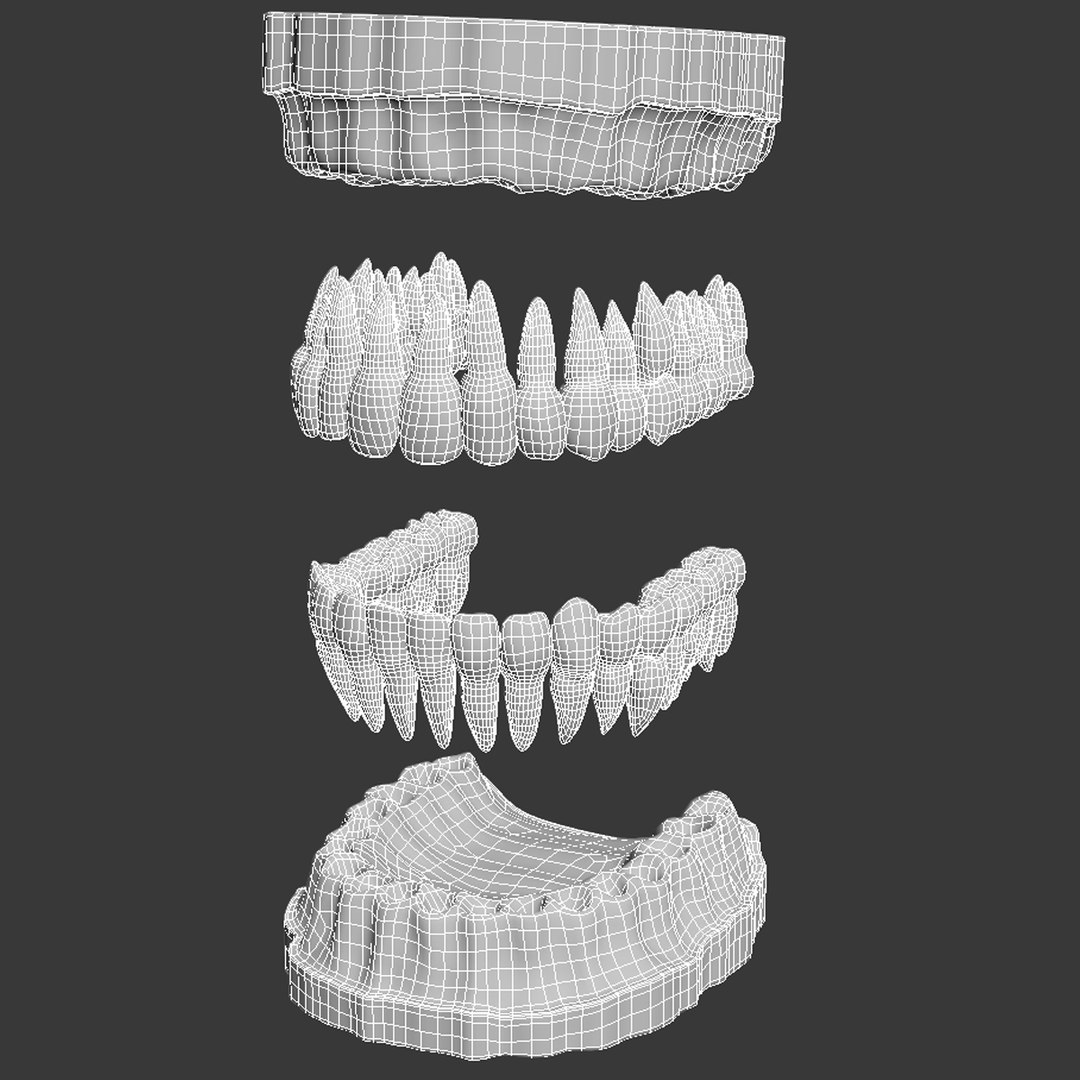 3d Dugm01 Teeth
