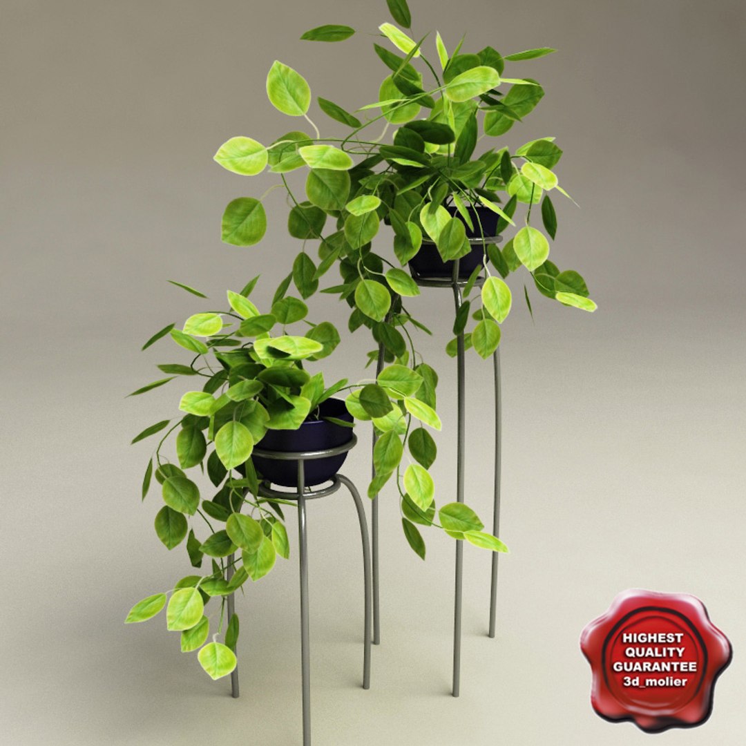 3d model home plant v2